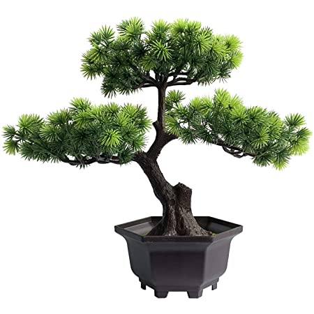 Flori decorative – PandaShop.md. Cumpără Flori decorative la prețuri ...