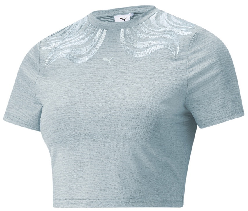 Топ Puma Snow Tiger Short Sleeve Tight Top Ice Flow S, купить по ...