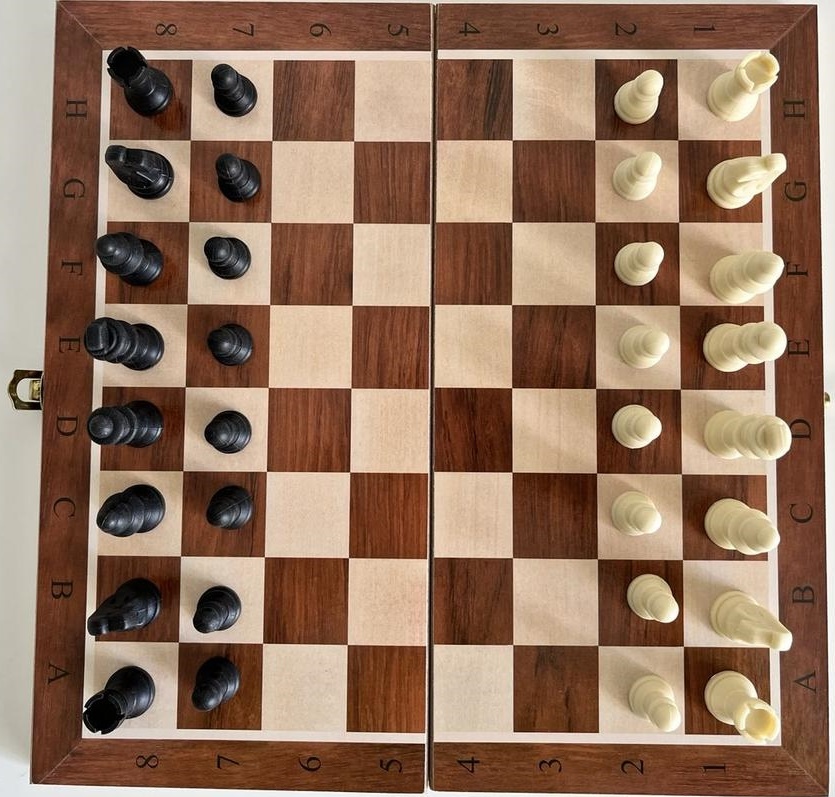 Шахматы Sport Wooden Chess Set (114658) – купить в Кишиневе и Молдове ...