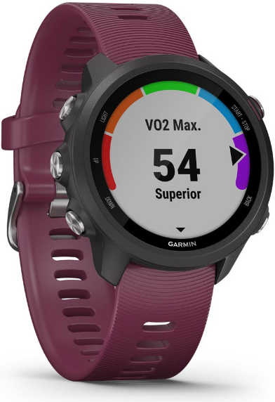 Пульсометр Garmin Forerunner 245 GPS Merlot, купить по выгодной цене с ...